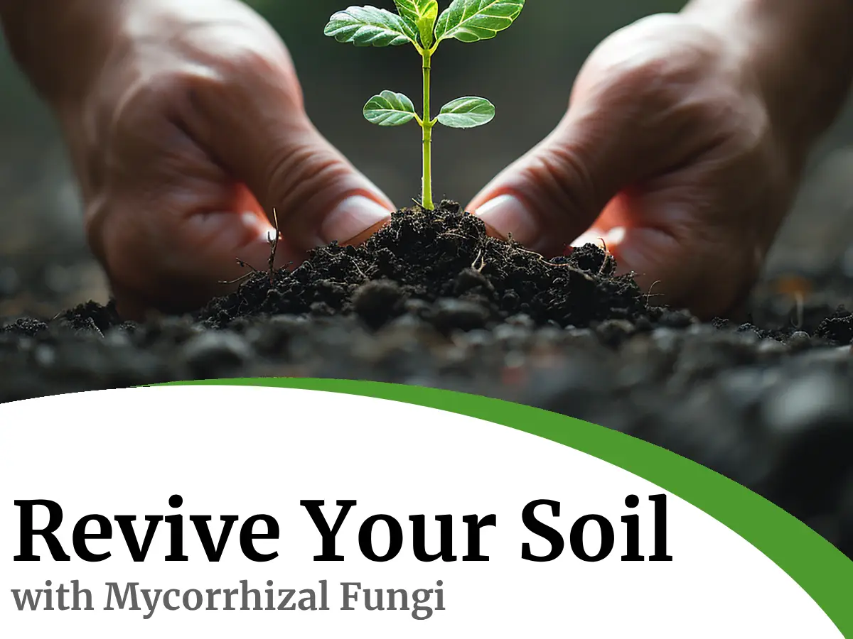 What’s Killing Your Soil—and How to Revive It with Fungi - New Age Farming